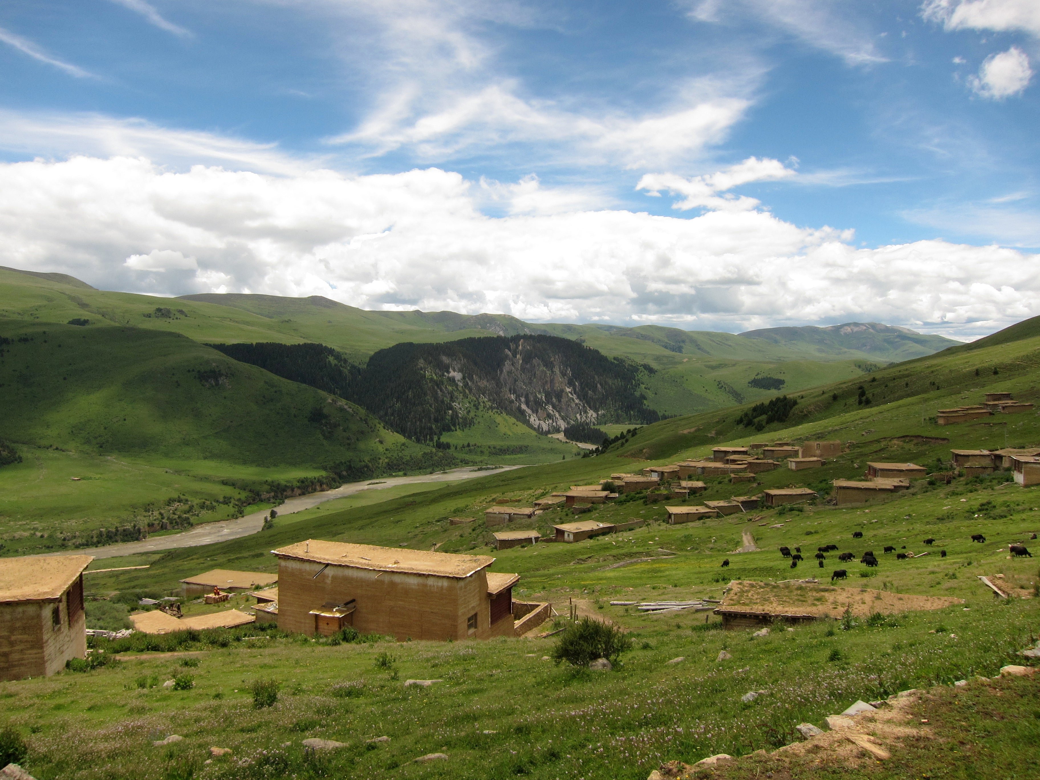 Enlightenment – “A glitch in the system” – Zhao Zhou tea Worldwide