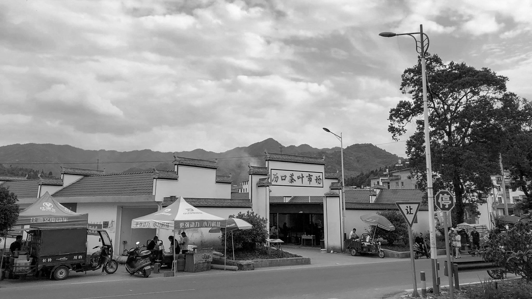 Miracles of Qimen county 2/3 – Zhao Zhou tea Worldwide