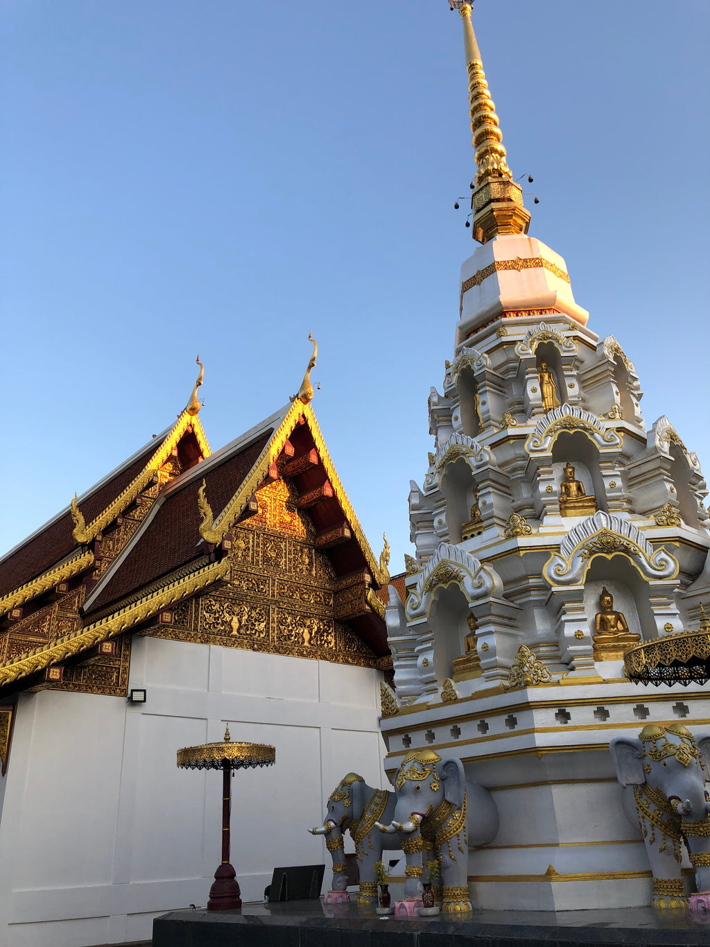 Thai teaselection – Zhao Zhou tea Worldwide